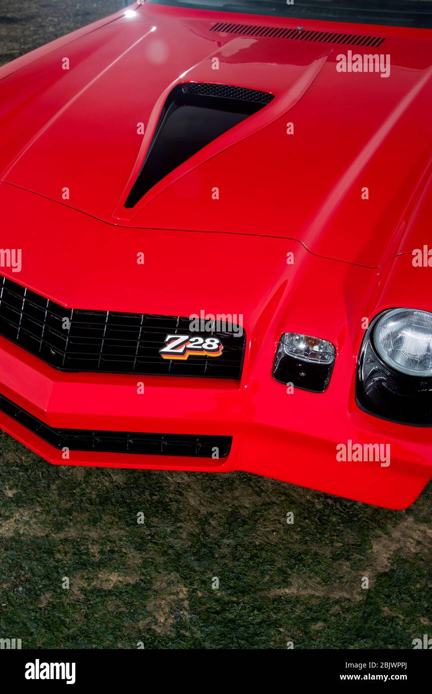 1978 Camaro Z28 Hood