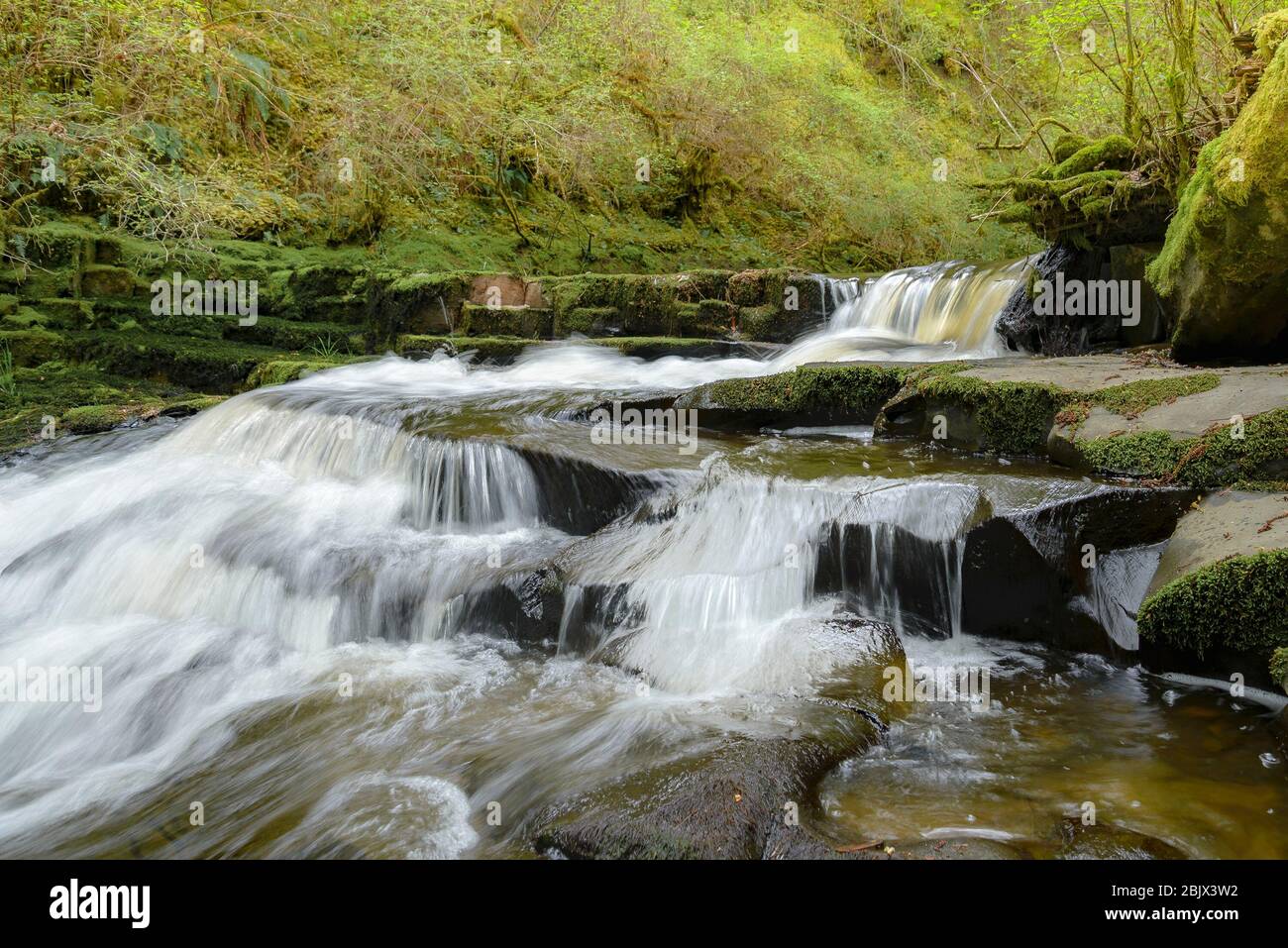 Triple Falls, Errington, Vancouver Island. British Columbia, Canada ...