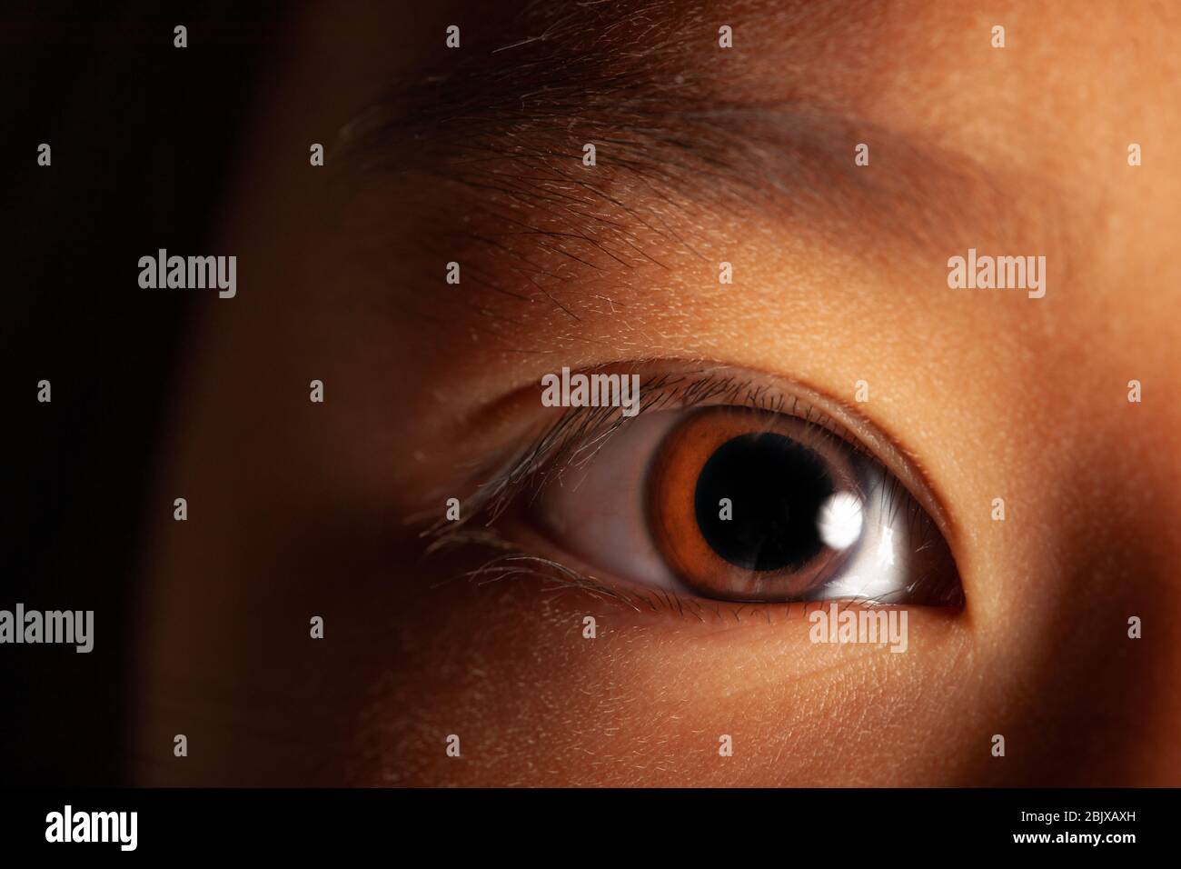 A single human eye hi-res stock photography and images - Alamy