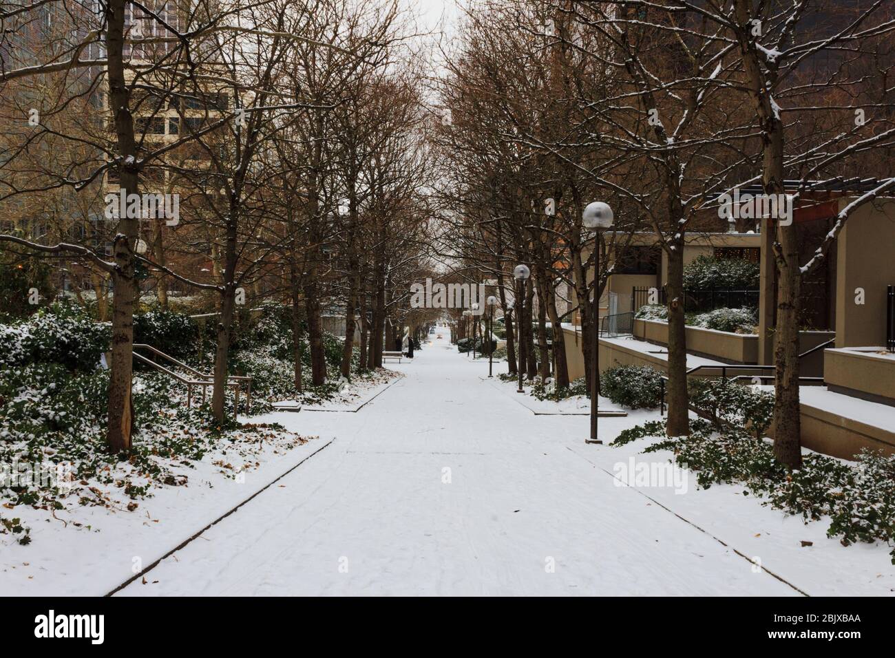 Portland snow and street hi-res stock photography and images - Alamy
