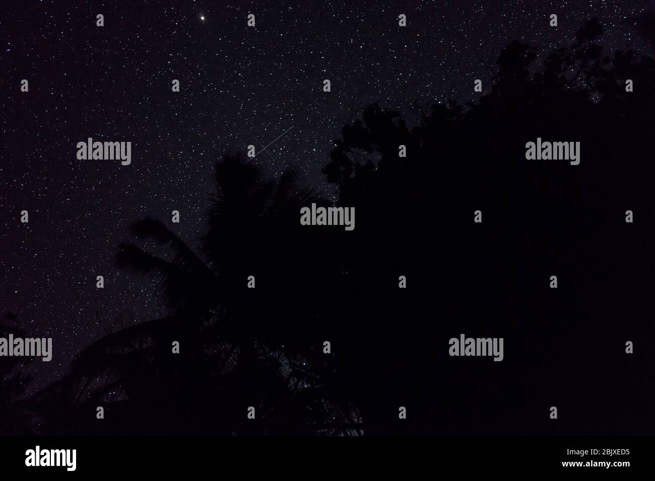 Amazing wild camping by undiscovered beach and jungle nearby in Banda ...