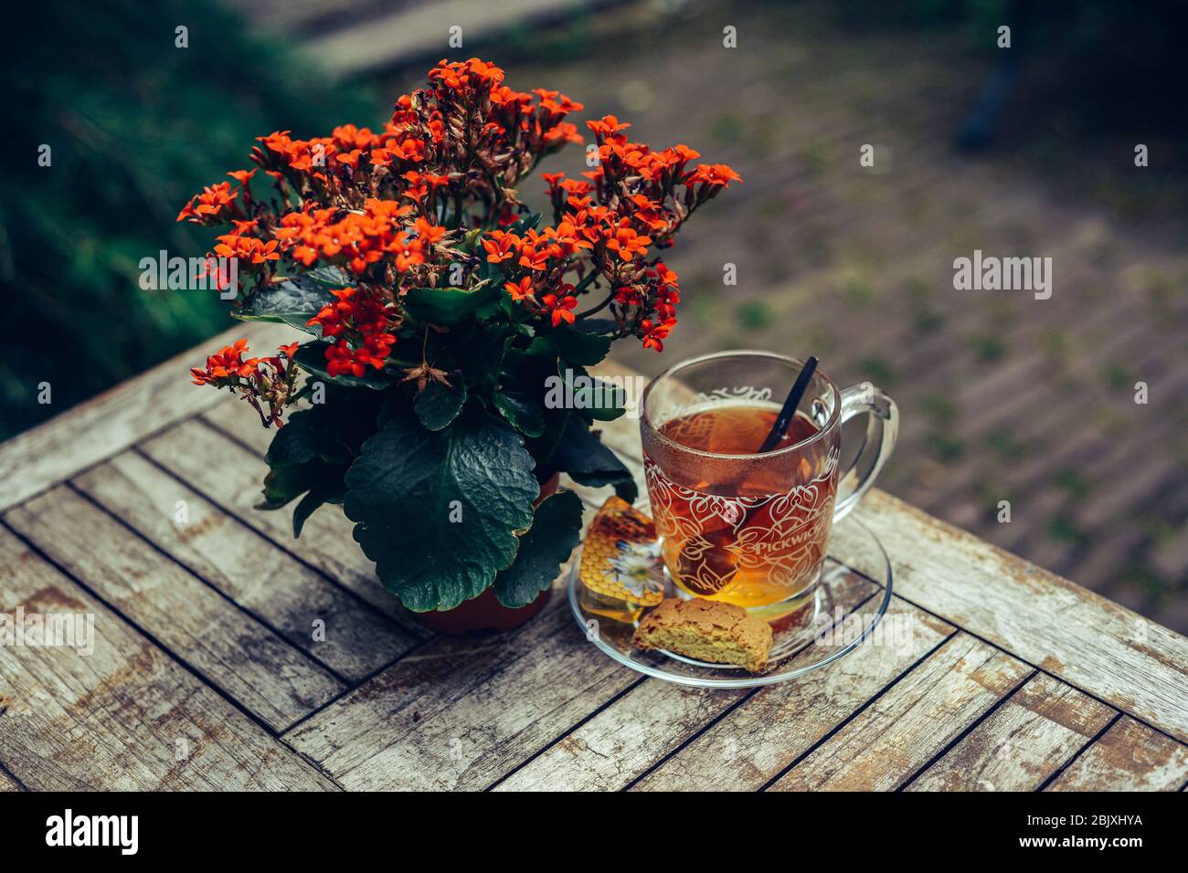 Afternoon tea garden hi-res stock photography and images - Alamy