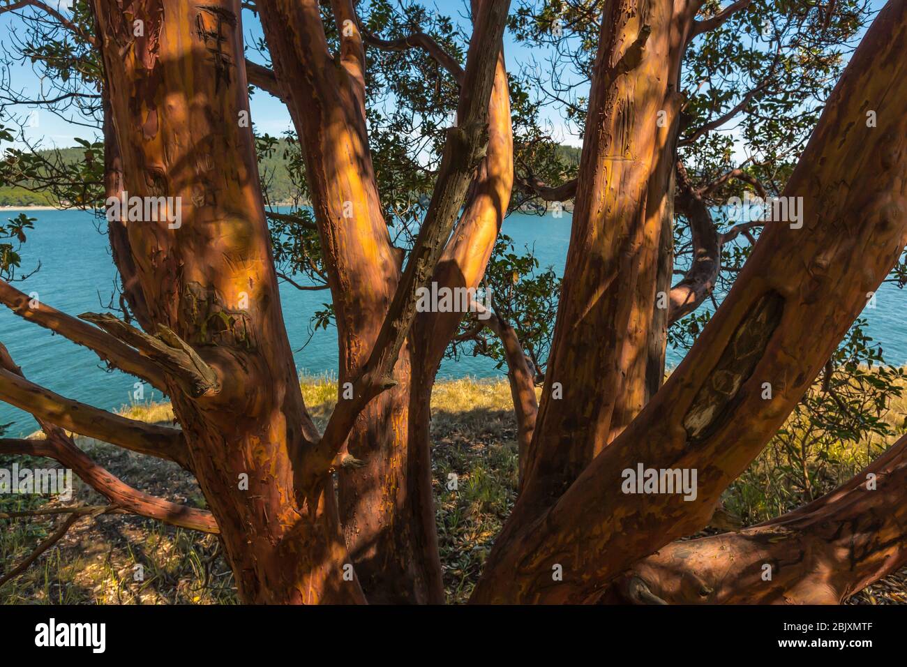 South fidalgo island hi-res stock photography and images - Alamy