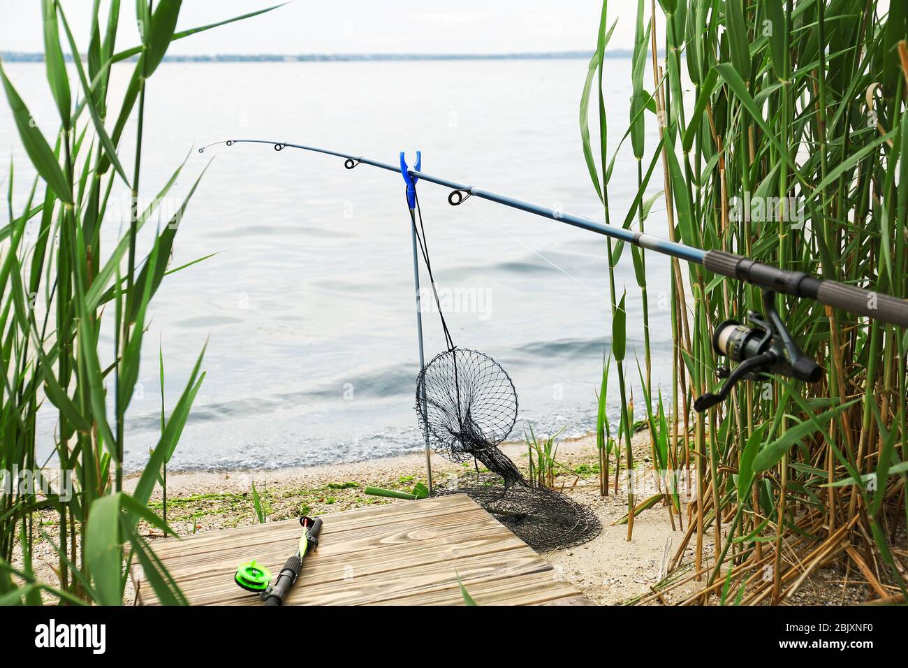 Modern fishing rod with net near river Stock Photo - Alamy