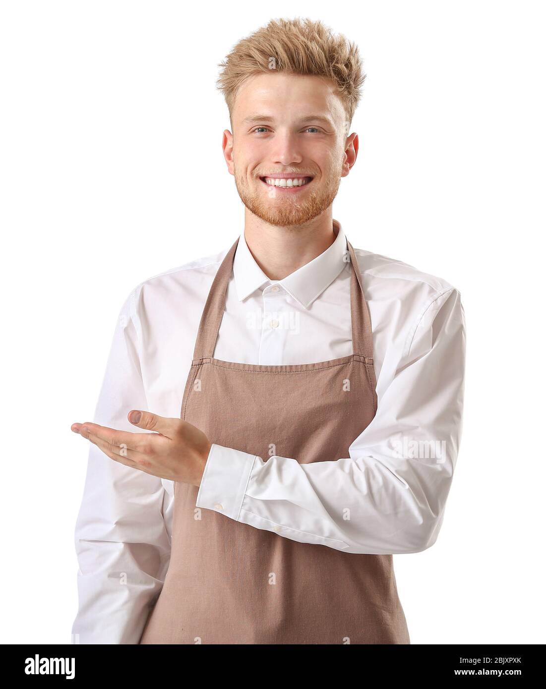 Handsome male chef showing something on white background Stock Photo ...