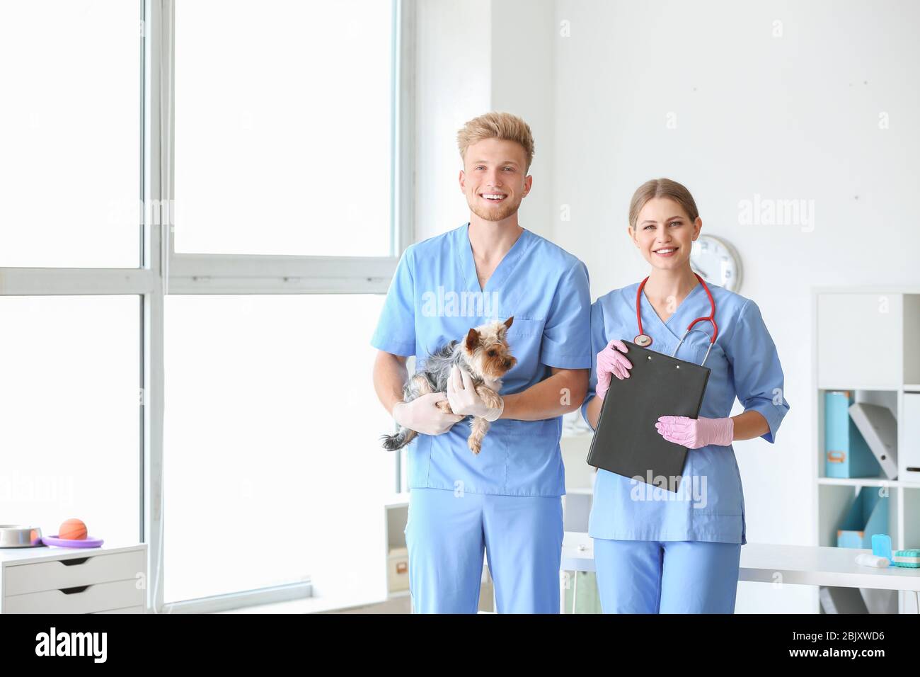 Veterinarians with cute dog in clinic Stock Photo - Alamy