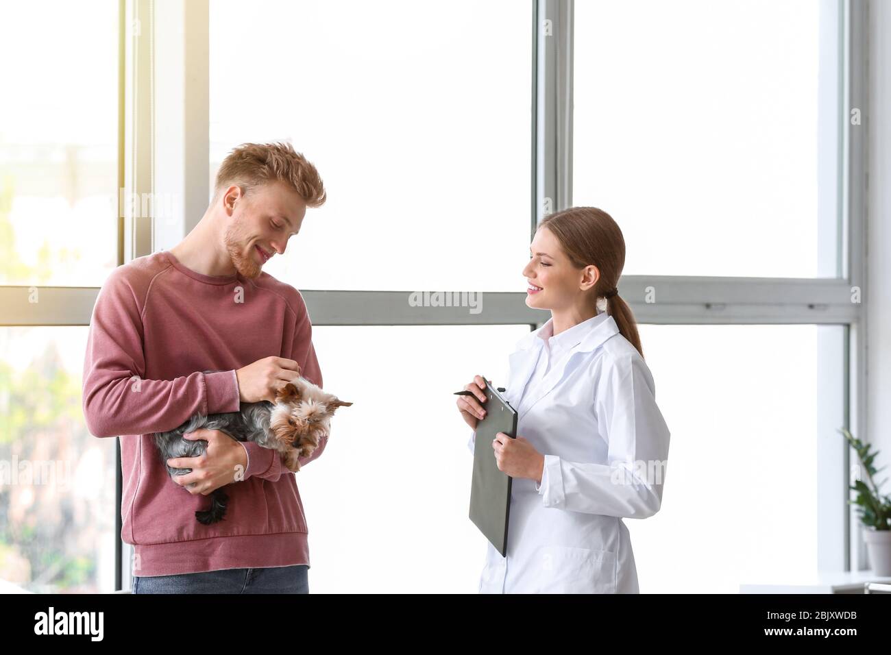 Dog visiting hospital hi-res stock photography and images - Alamy
