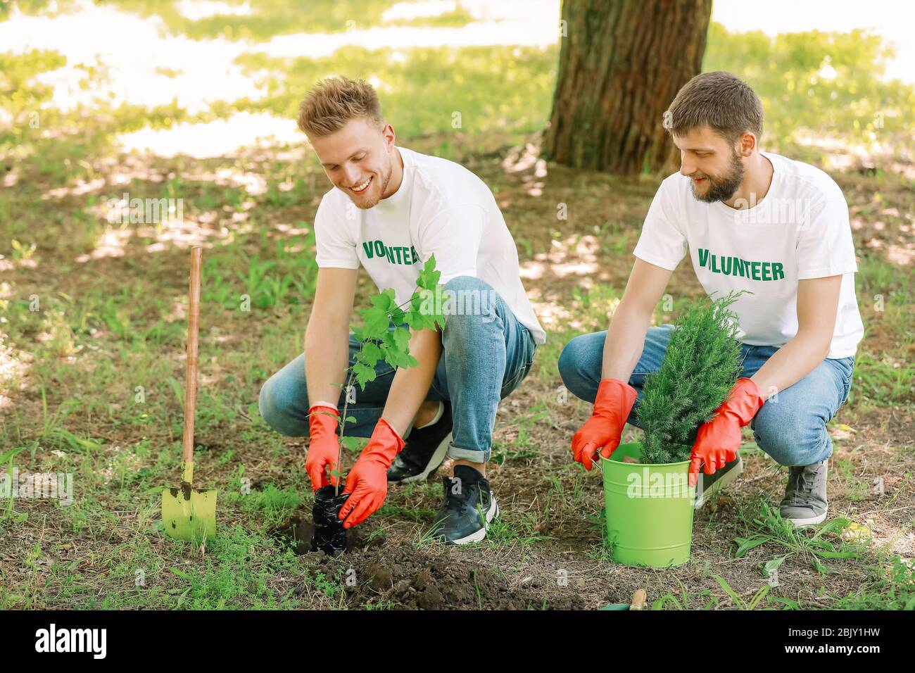 Volunteers planting tree hi-res stock photography and images - Alamy