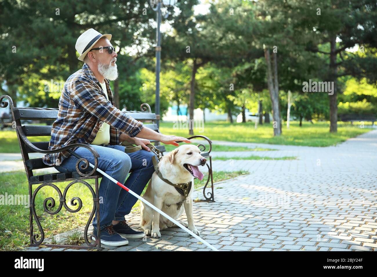 Mature man park bench dog hi-res stock photography and images - Alamy