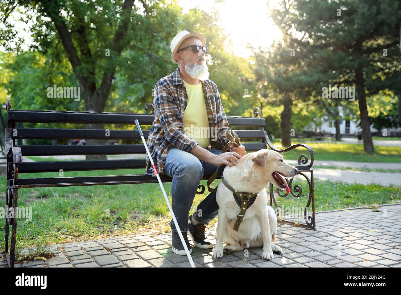 Mature man park bench dog hi-res stock photography and images - Alamy