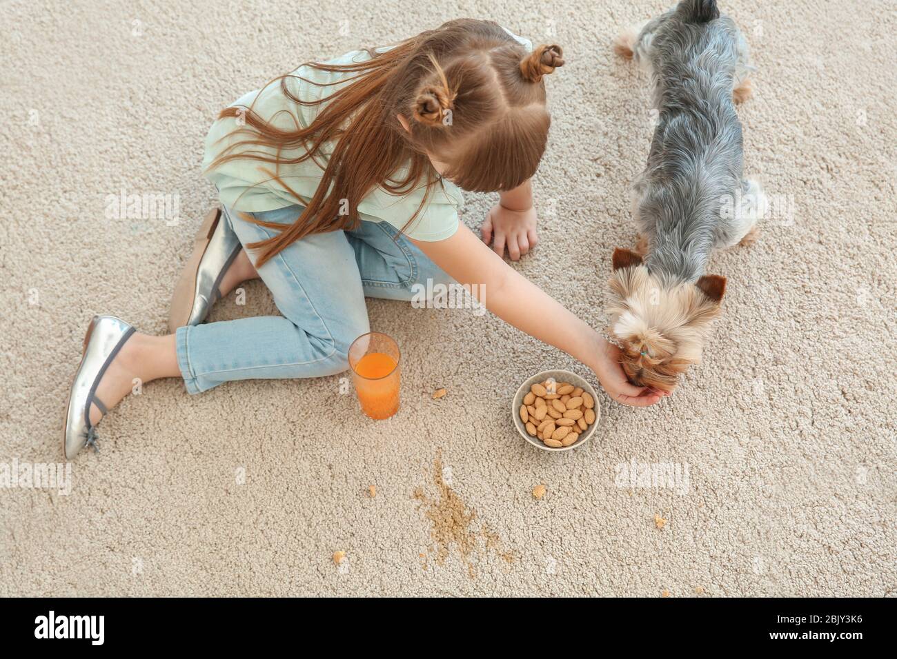 Careless little girl with dog eating nuts and drinking juice while ...