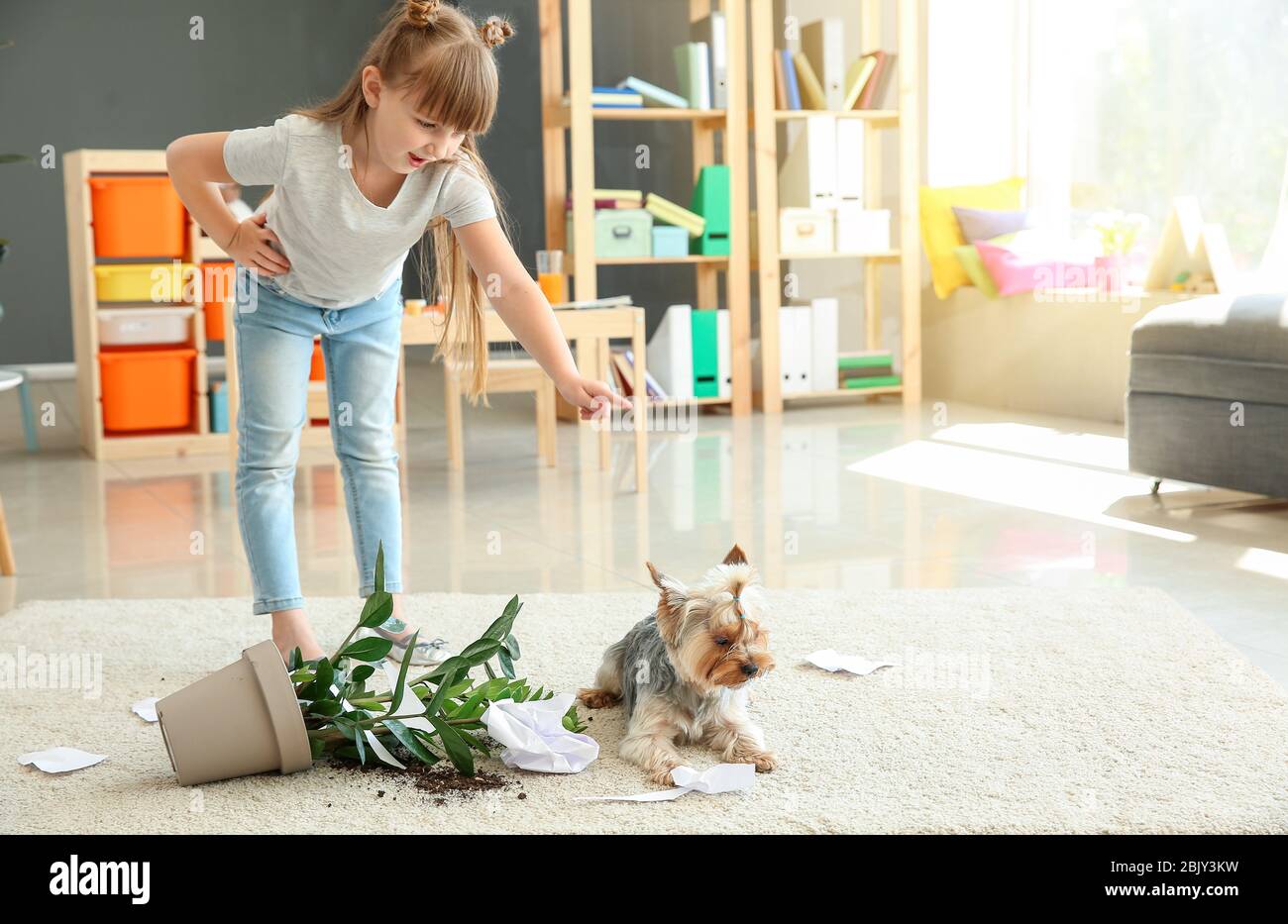 How Do You Scold A Dog