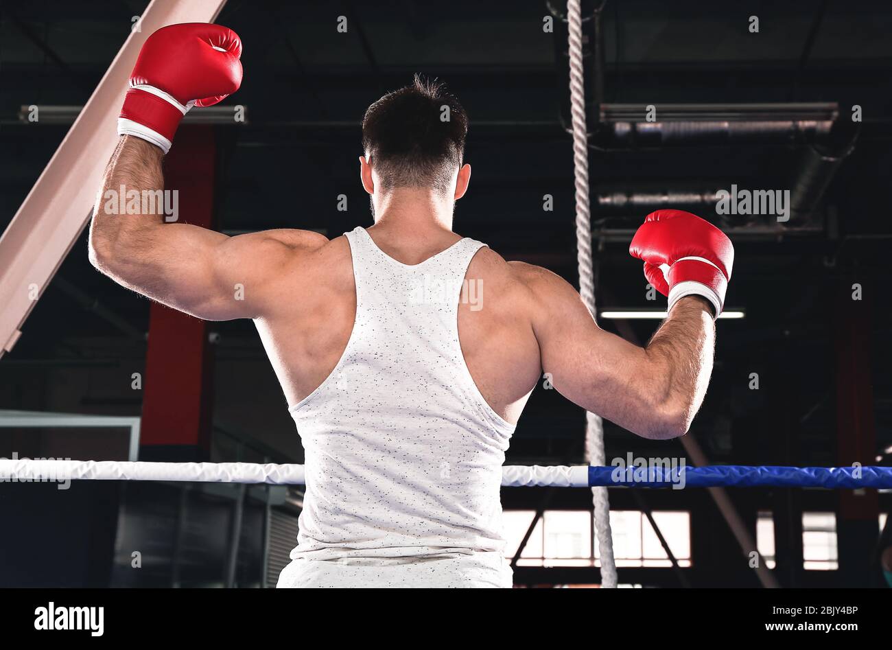 Sporty man in boxing ring Stock Photo - Alamy