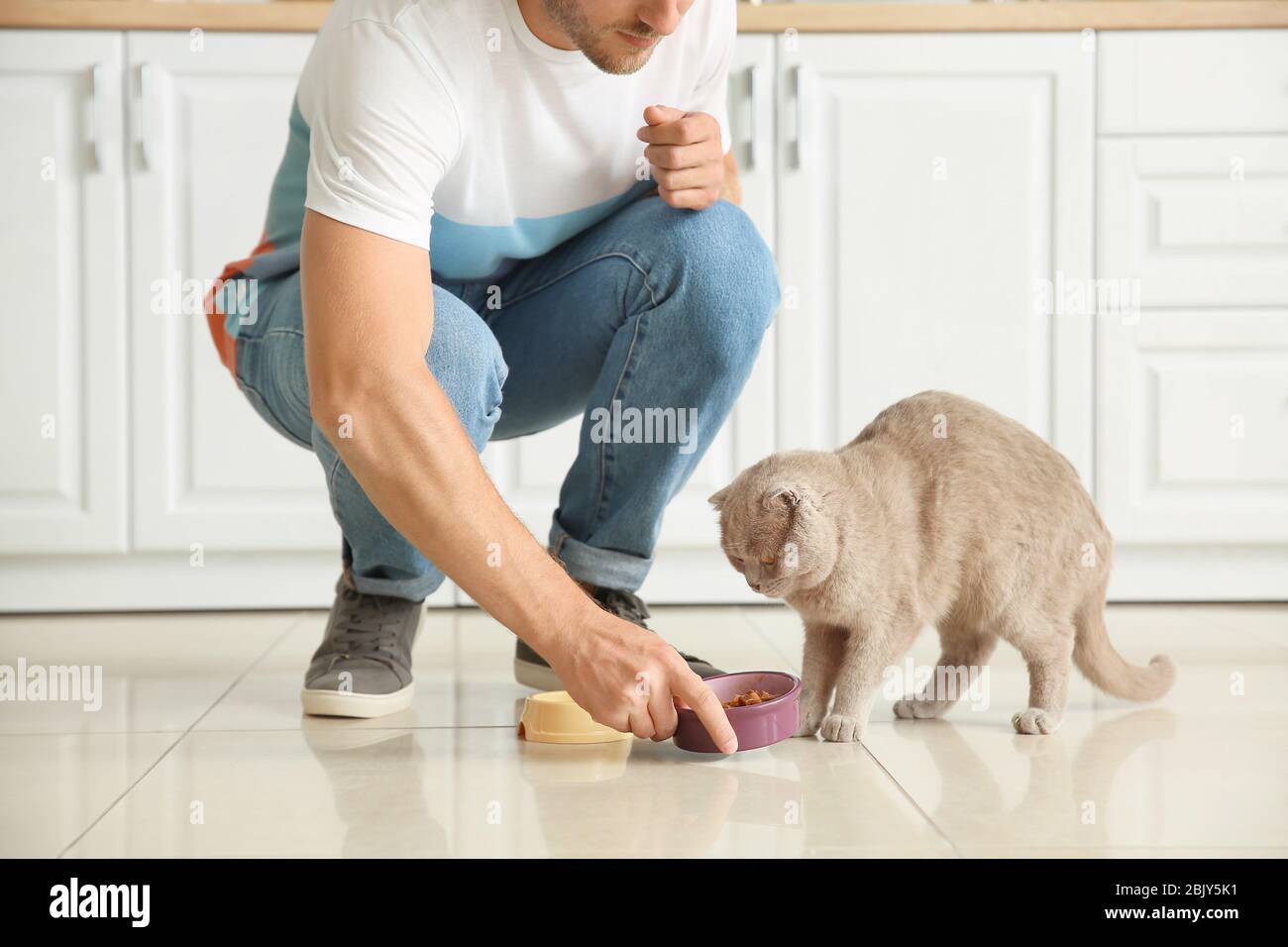 Man feeding cute funny cat in kitchen Stock Photo - Alamy