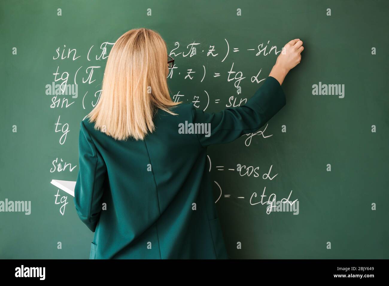 Beautiful math teacher near blackboard in classroom, back view Stock ...