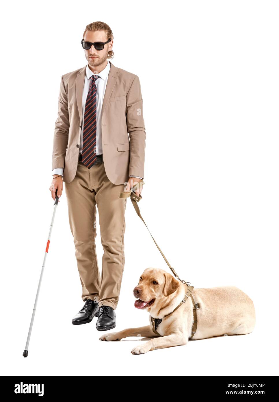 Blind young man with guide dog on white background Stock Photo - Alamy