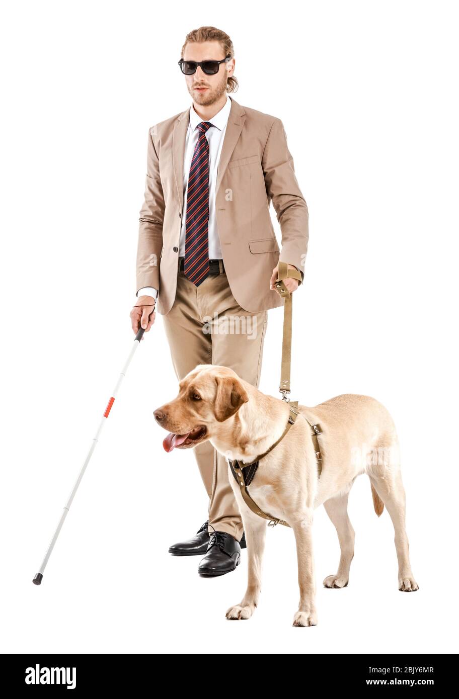 Blind young man with guide dog on white background Stock Photo - Alamy