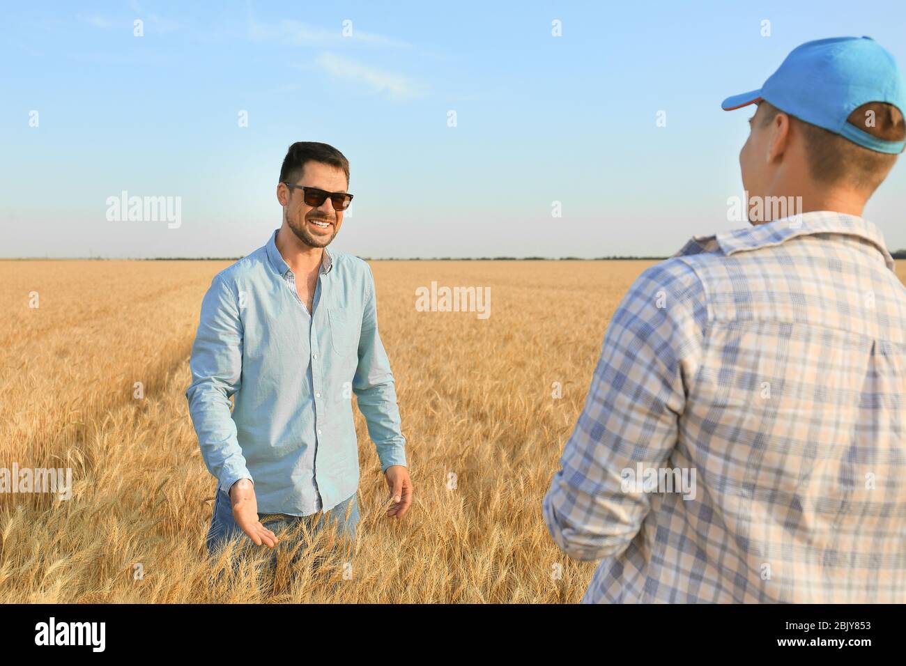 Male farmers working in wheat field Stock Photo - Alamy