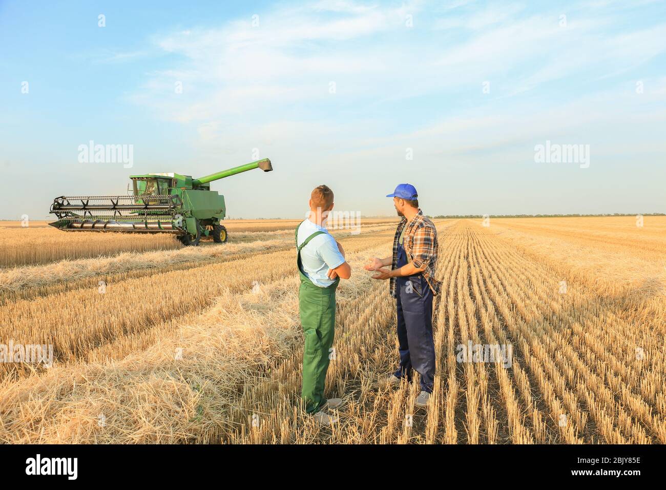 Male farmers working in wheat field Stock Photo - Alamy