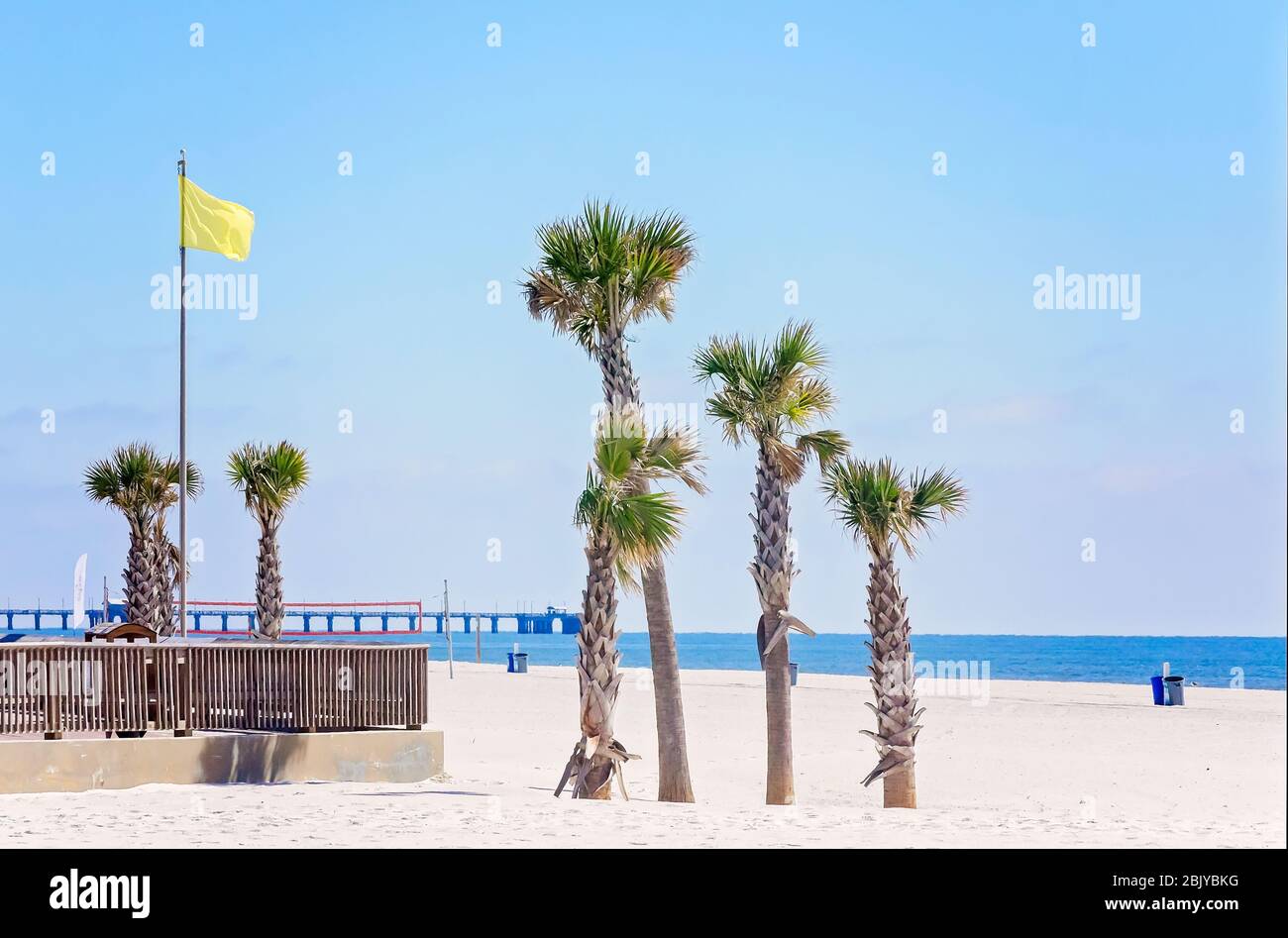Palm trees stand on the beach as a yellow flag flies, March 4, 2016, in ...