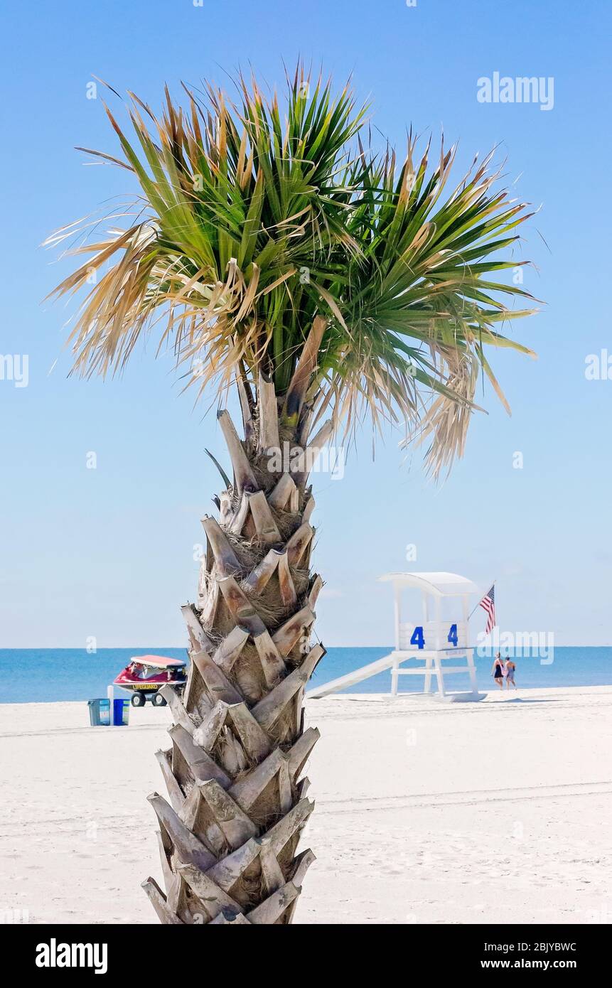 Palm tree and water tower hi-res stock photography and images - Alamy
