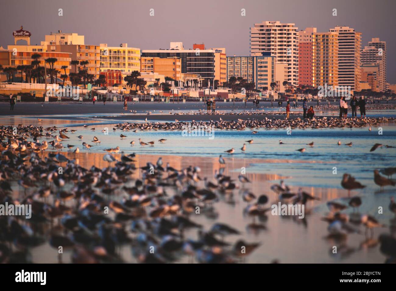 Daytona sunrise hi-res stock photography and images - Alamy