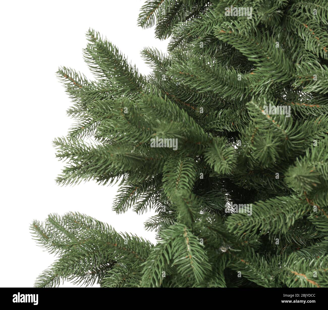 Green fir tree on white background, closeup Stock Photo - Alamy