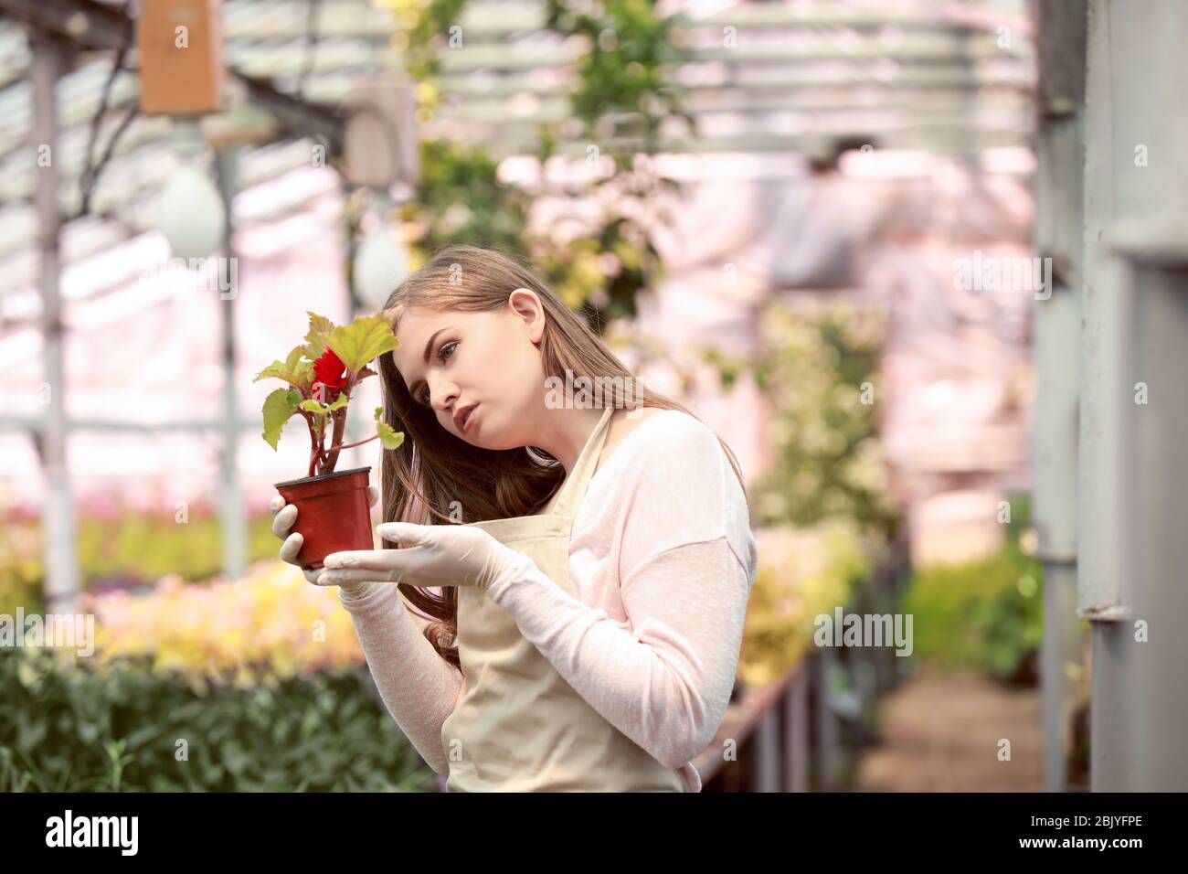 Female agricultural engineer working in greenhouse Stock Photo - Alamy