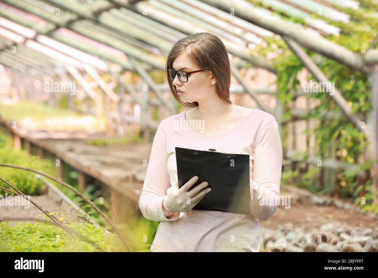 Female agricultural engineer working in greenhouse Stock Photo - Alamy