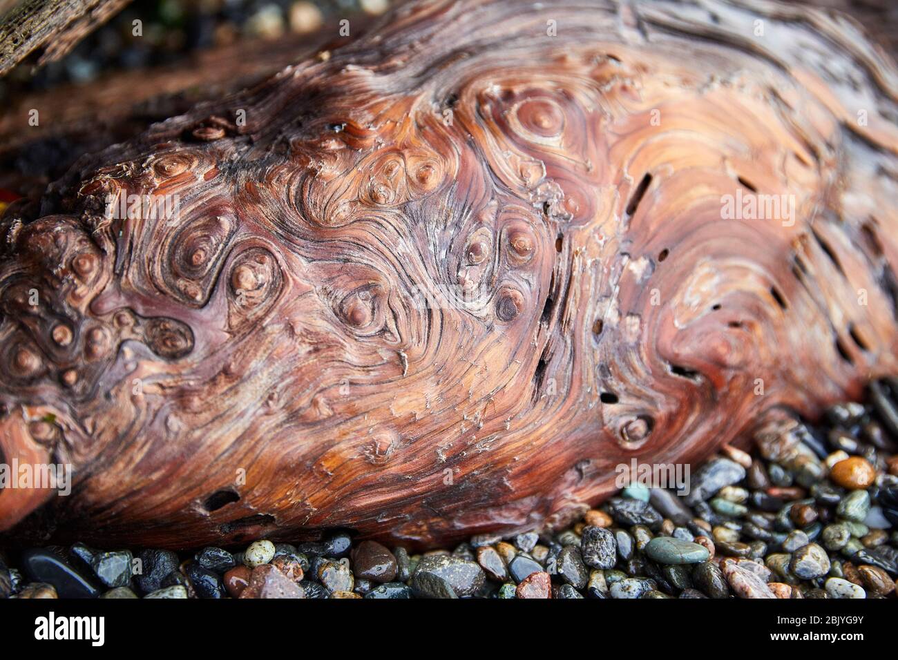 Horizontal wood pattern hi-res stock photography and images - Alamy