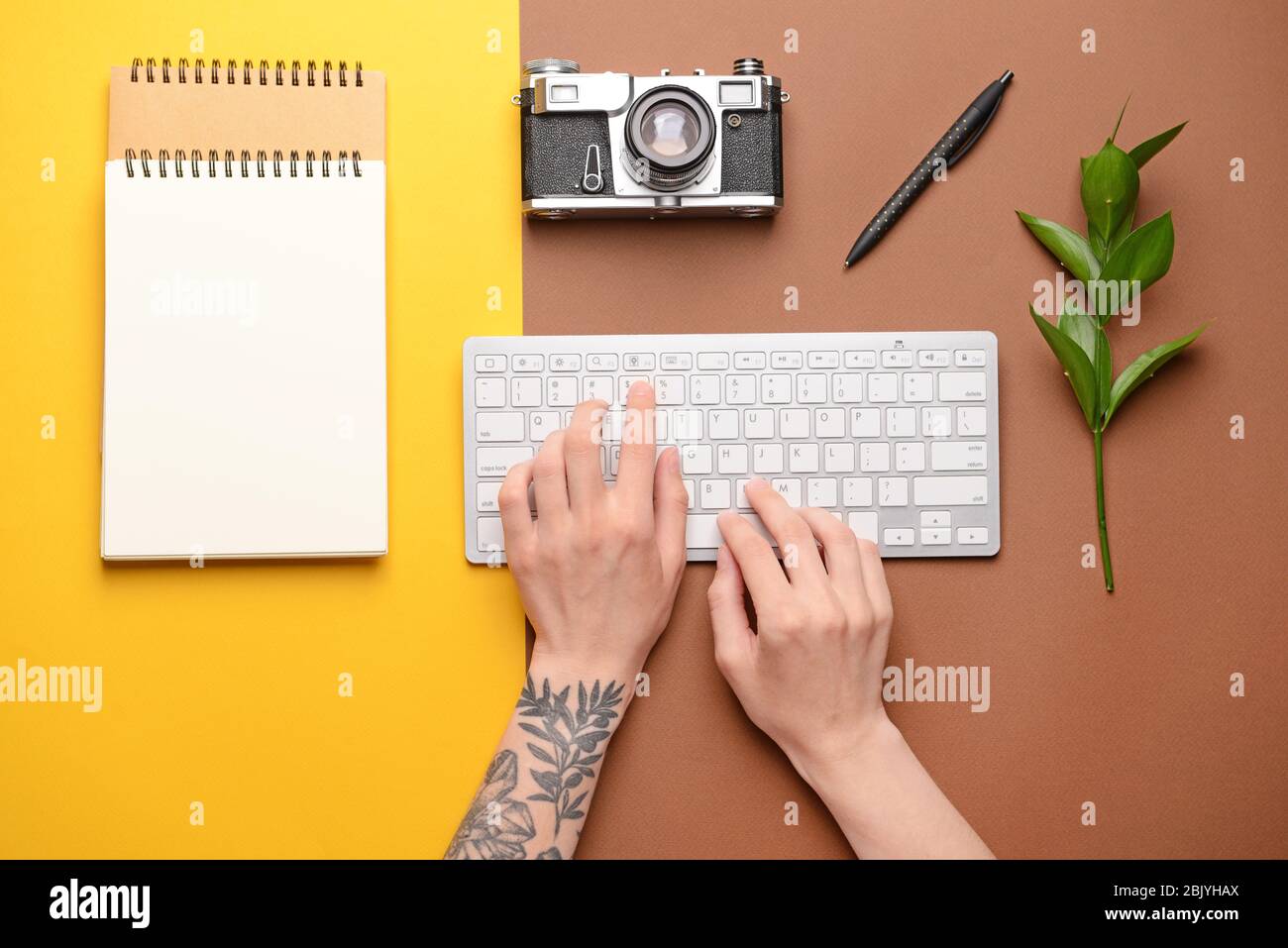 Female hands with PC keyboard, notebooks and photo camera on color ...