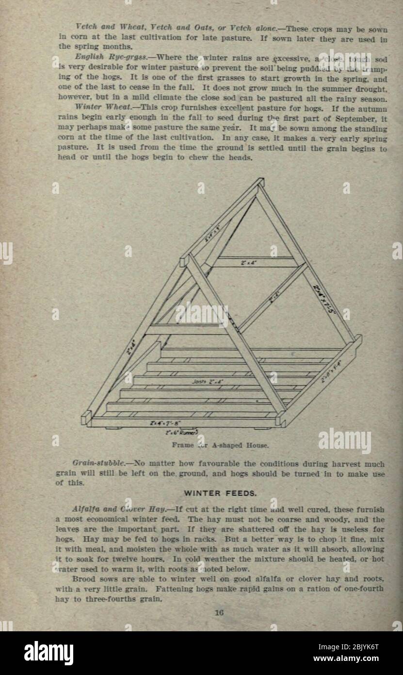 Hog-raising in British Columbia (Page 16 Stock Photo - Alamy