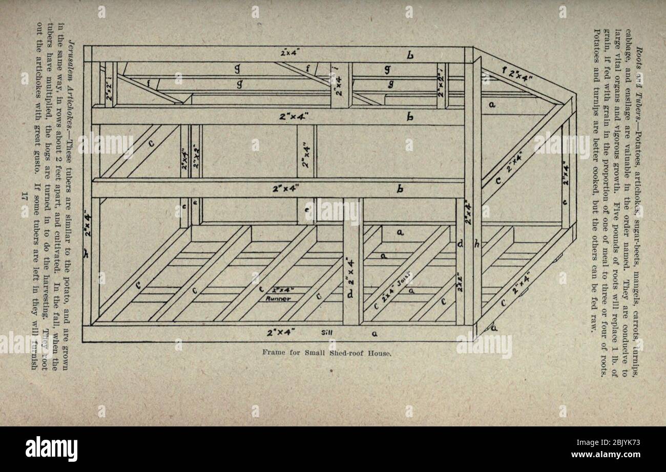 Hog raising hi-res stock photography and images - Alamy