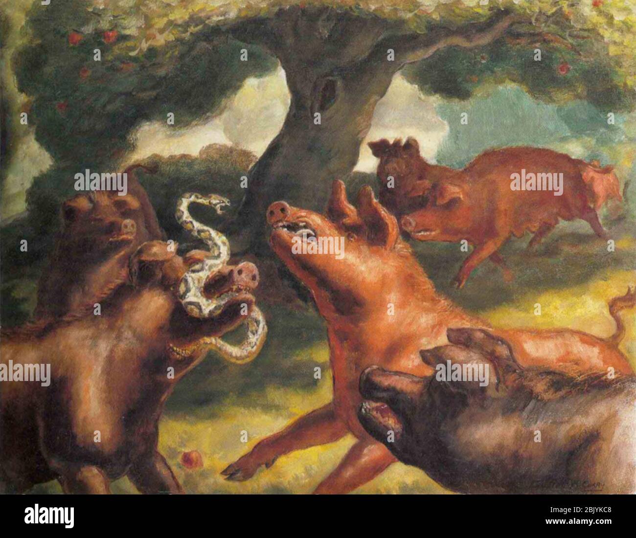 Hogs killing a snake hi-res stock photography and images - Alamy