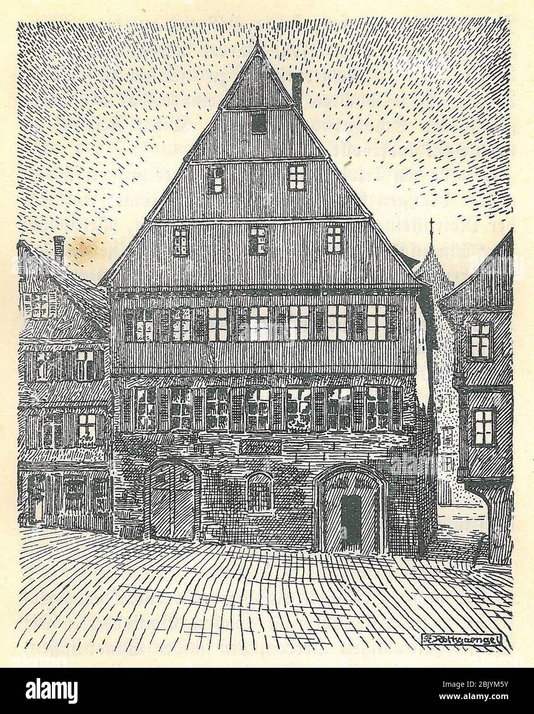 Waldeyer hi-res stock photography and images - Alamy