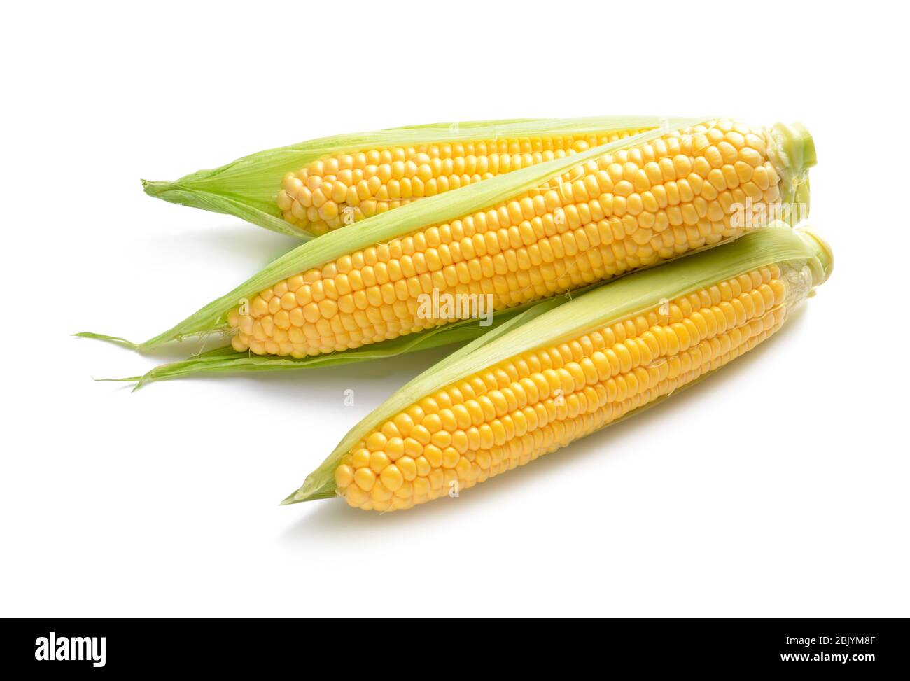 Fresh corn cobs on white background Stock Photo - Alamy
