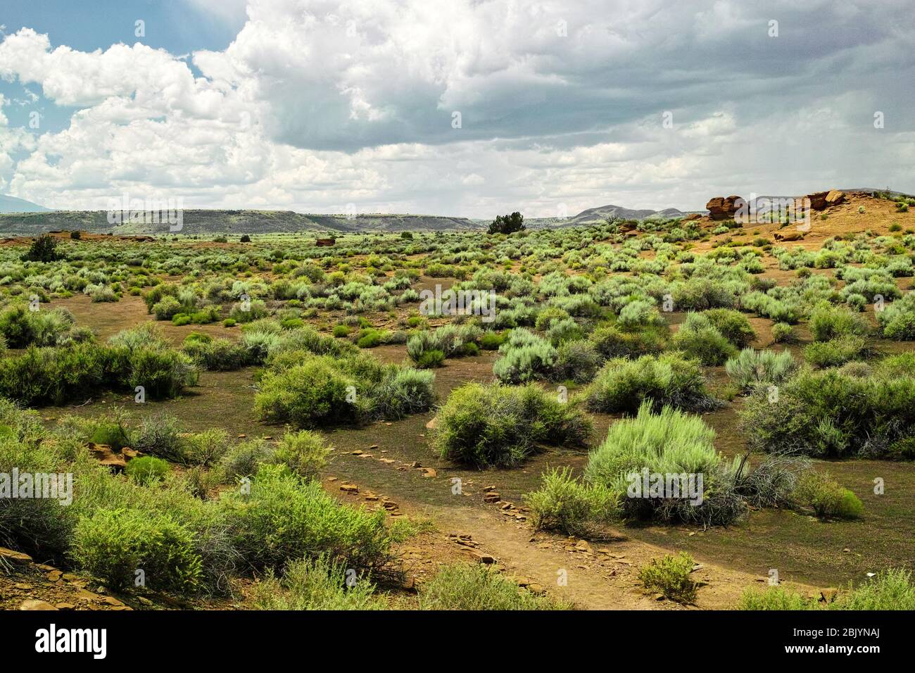 Arizona landscape with clouds hi-res stock photography and images - Alamy