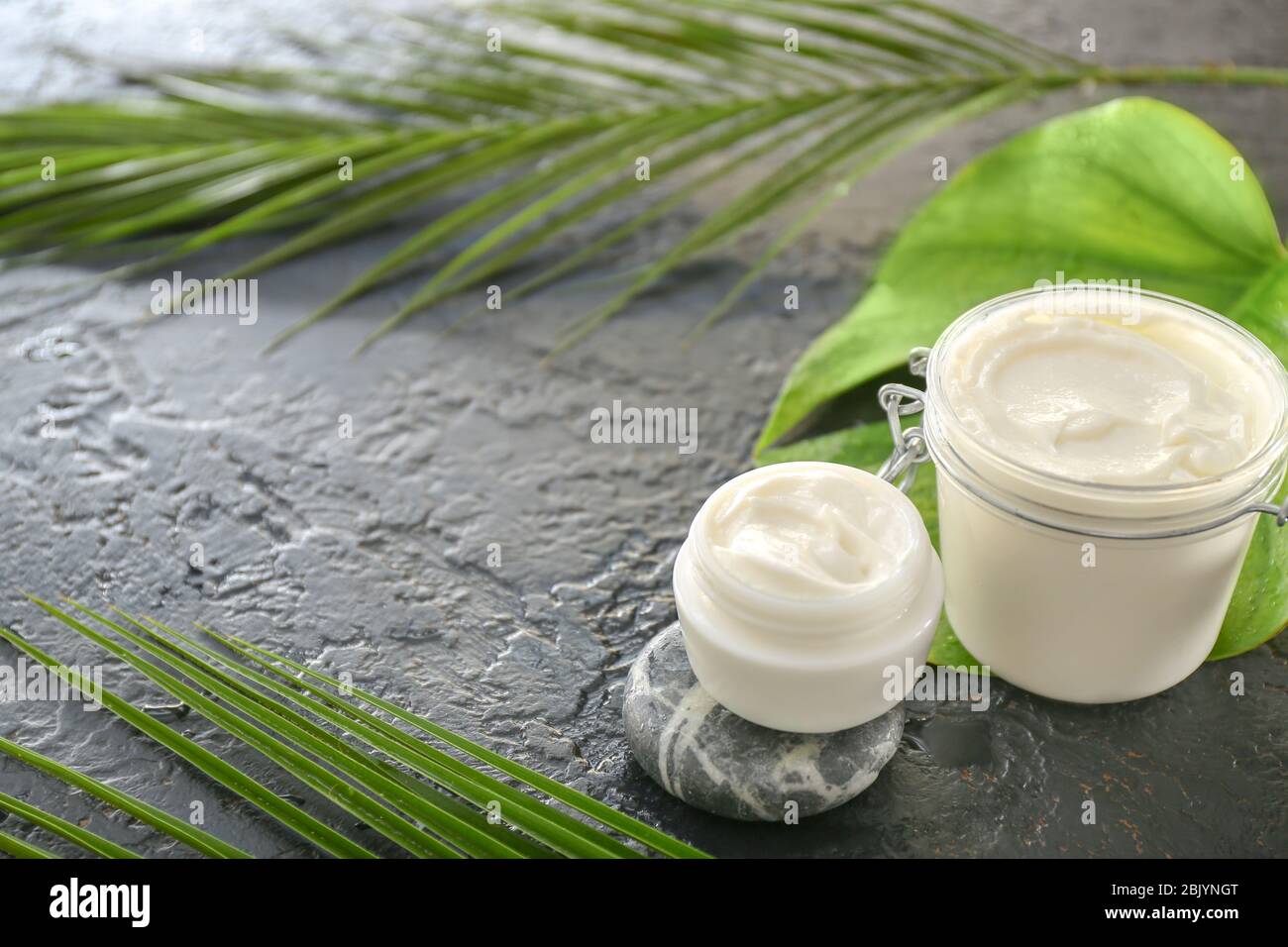 Jars of natural cream and tropical leaf on dark background Stock Photo ...