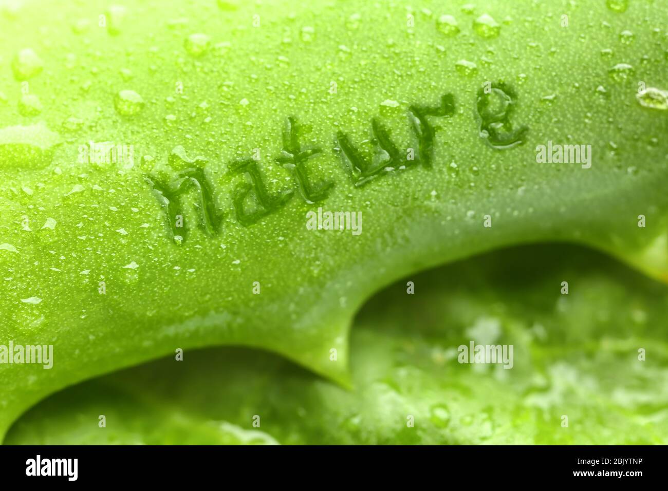 Word nature on fresh hi-res stock photography and images - Alamy