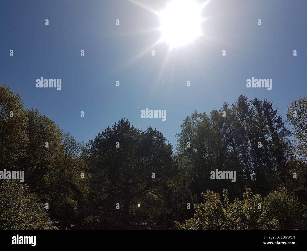 Sun and sky Stock Photo - Alamy