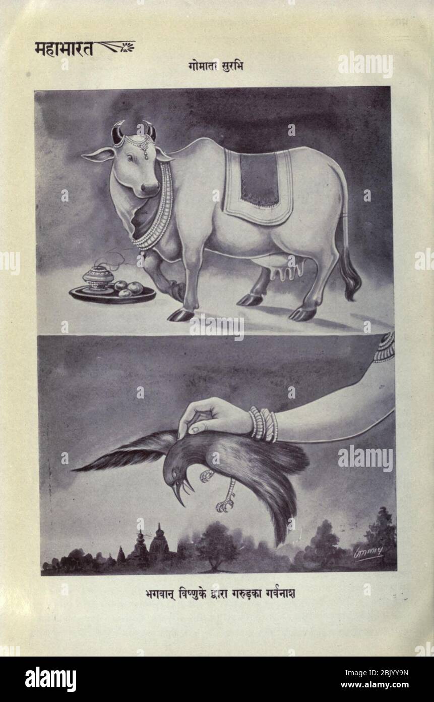Holy Cow Surabhi and Garuda was ashamed by Vishnu Stock Photo - Alamy