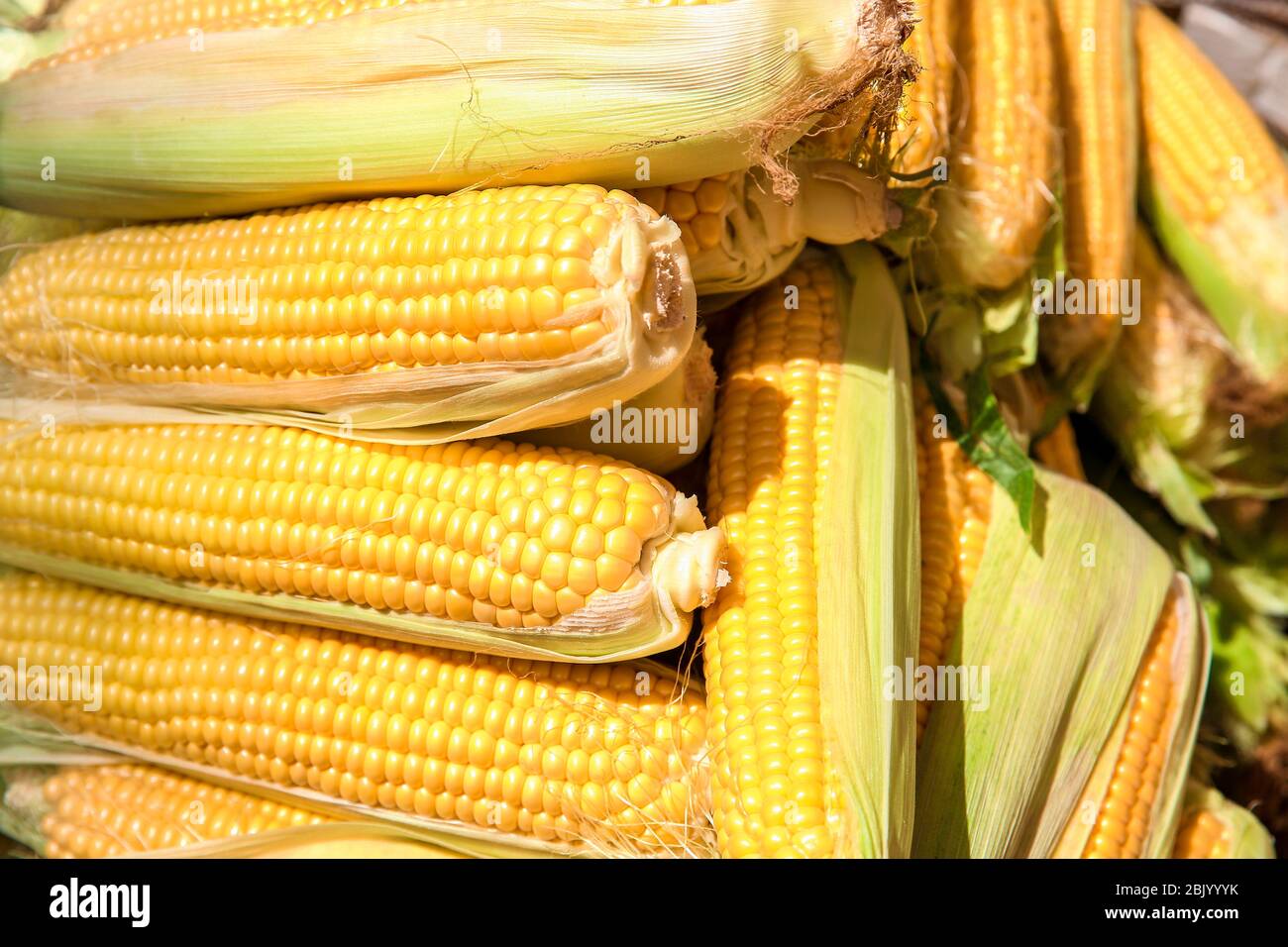 Heap of tasty corn cobs Stock Photo - Alamy