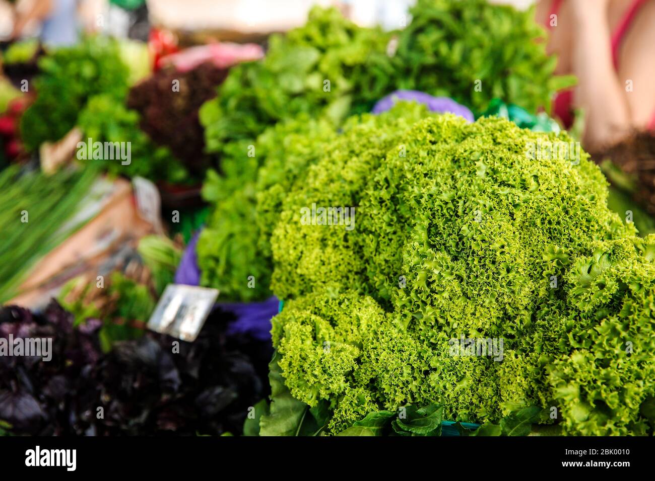 Fresh lettuce on counter at market Stock Photo - Alamy