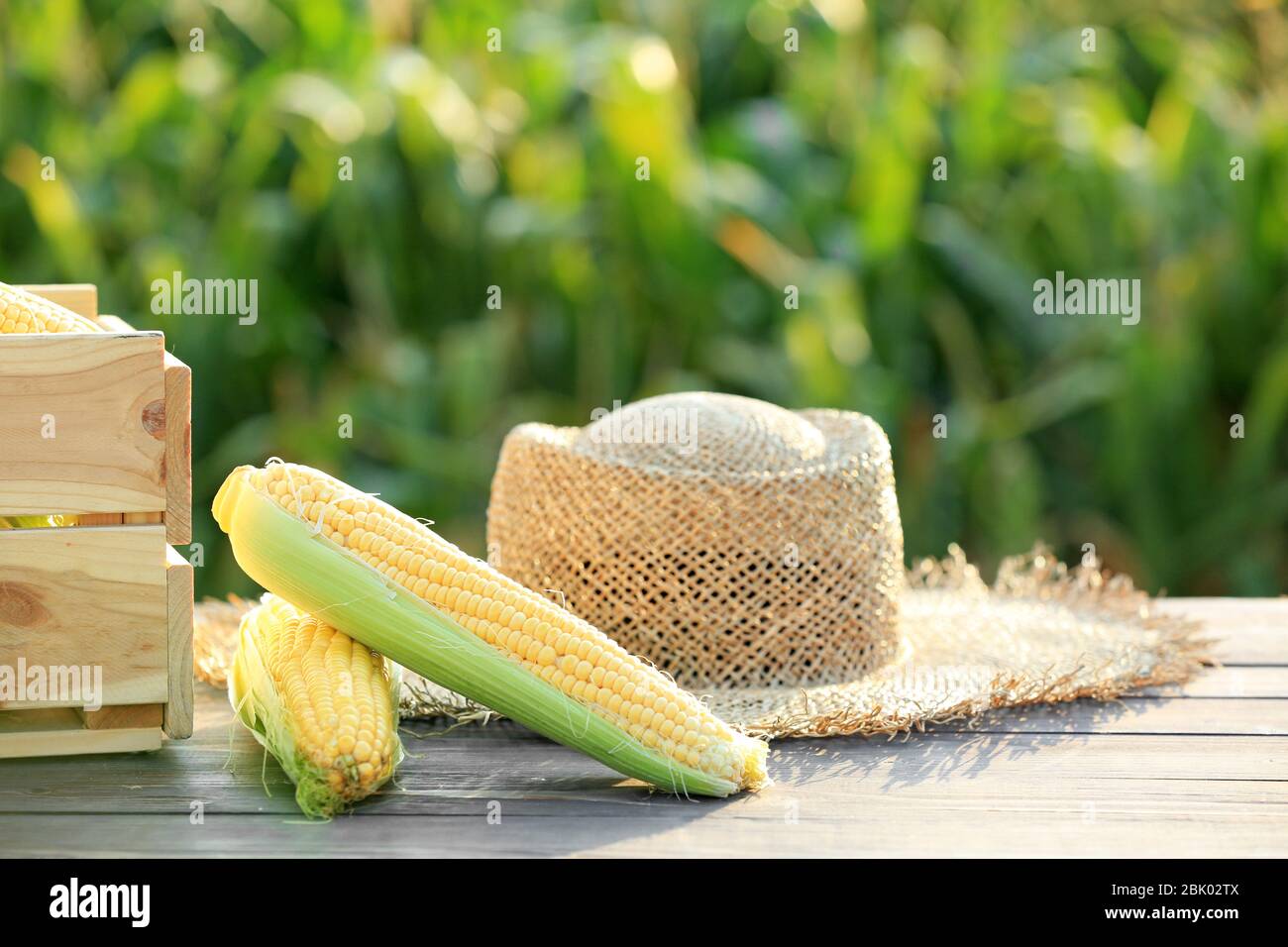 Wooden box with corn cobs and hat on table outdoors Stock Photo - Alamy