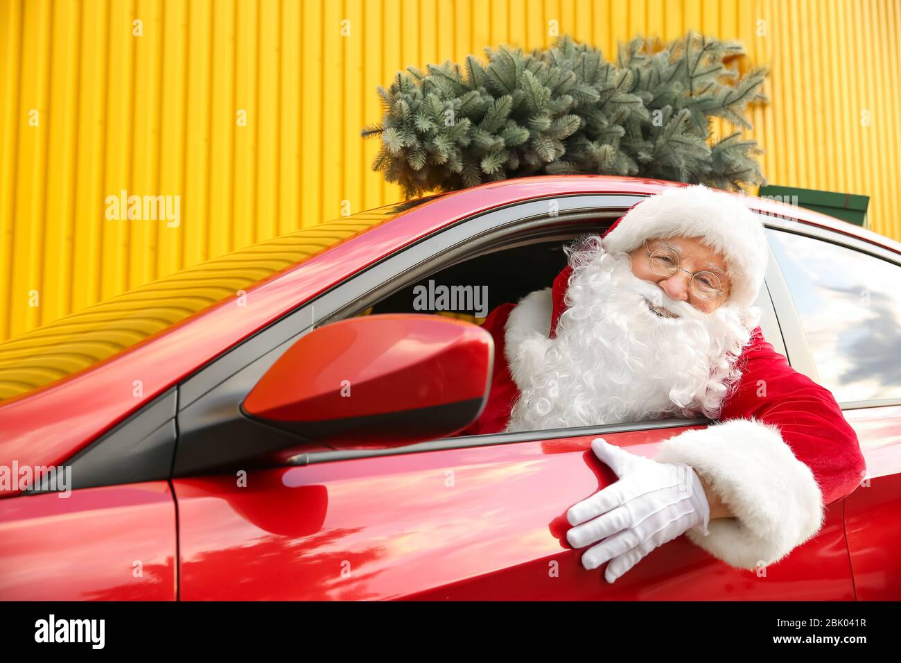 Santa Claus with fir tree driving modern car Stock Photo - Alamy