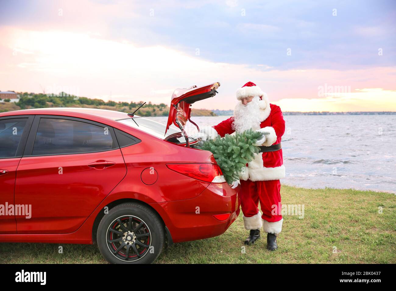 Santa Claus putting fir tree into car trunk on riverside Stock Photo ...