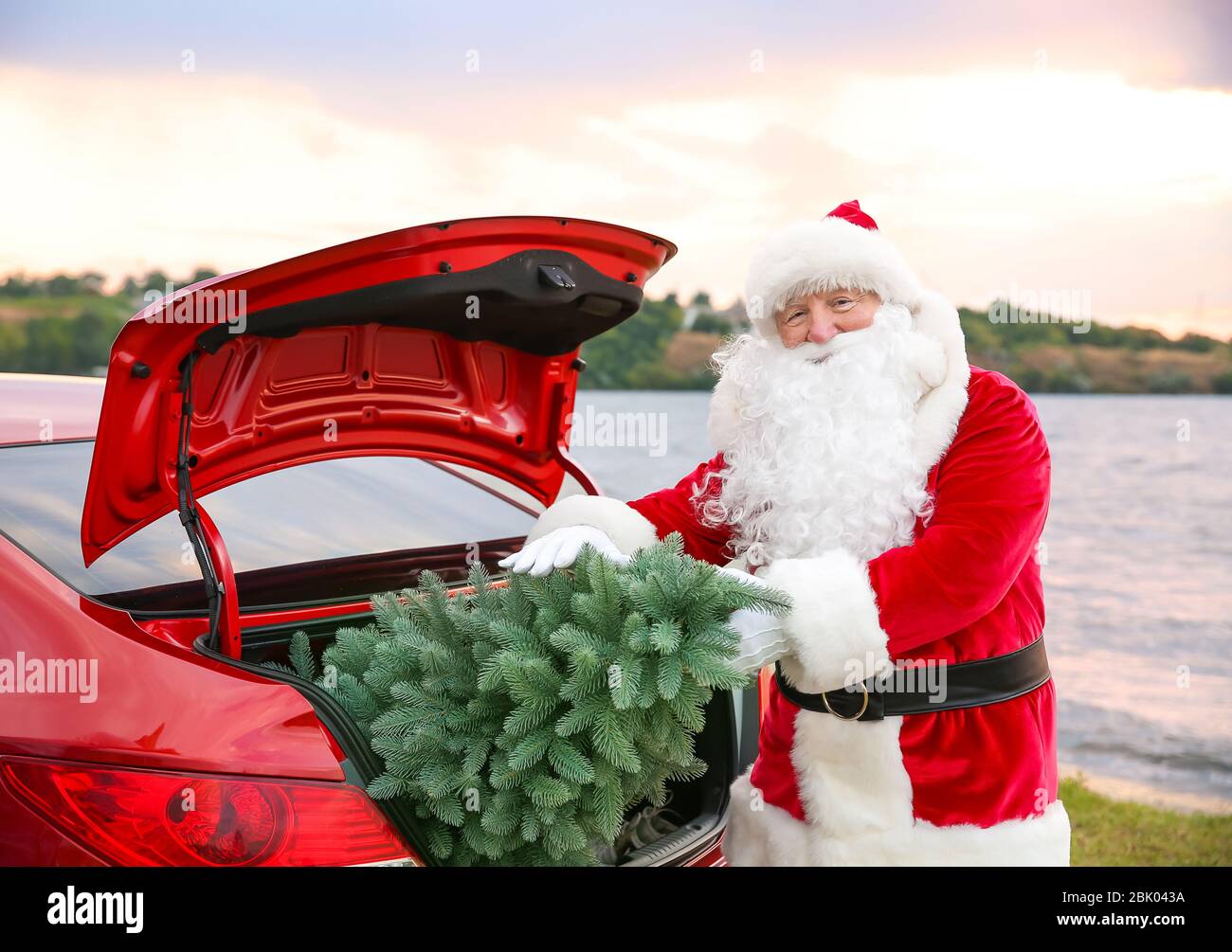 Santa Claus putting fir tree into car trunk on riverside Stock Photo ...