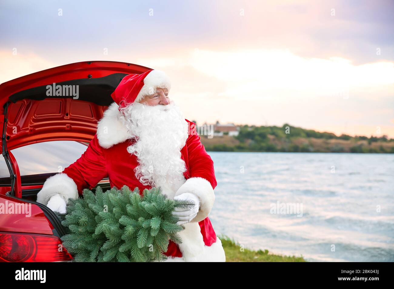 Santa Claus with fir tree in car trunk on riverside Stock Photo - Alamy