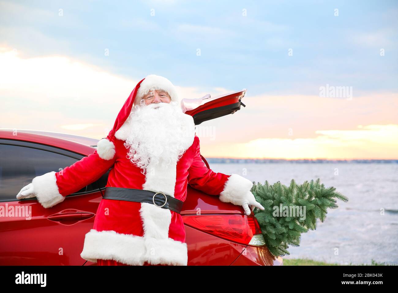 Santa Claus with fir tree in car trunk on riverside Stock Photo - Alamy