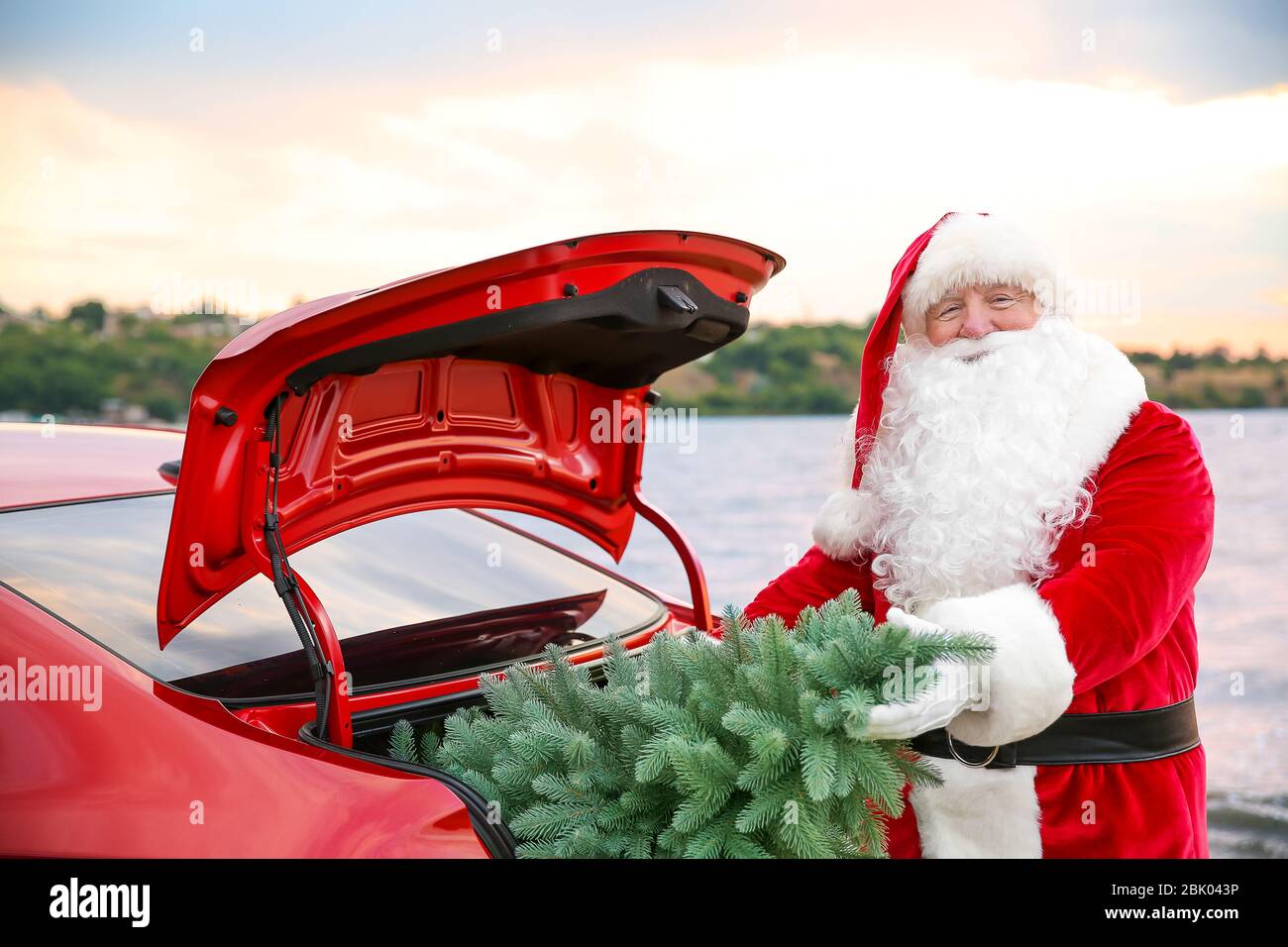 Santa Claus putting fir tree into car trunk on riverside Stock Photo ...